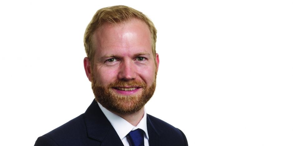 Wie ein Impact-Fonds den Methanausstoß von Kühen reduziert