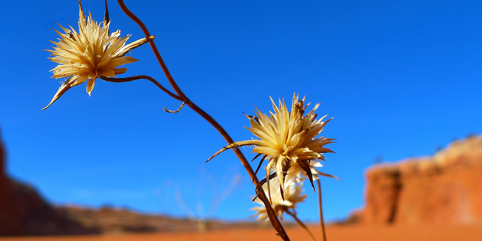 Pictet: Dry summer for stocks