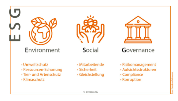 Nachhaltige Transparenz: Wie viele ESG-Kriterien gibt es?