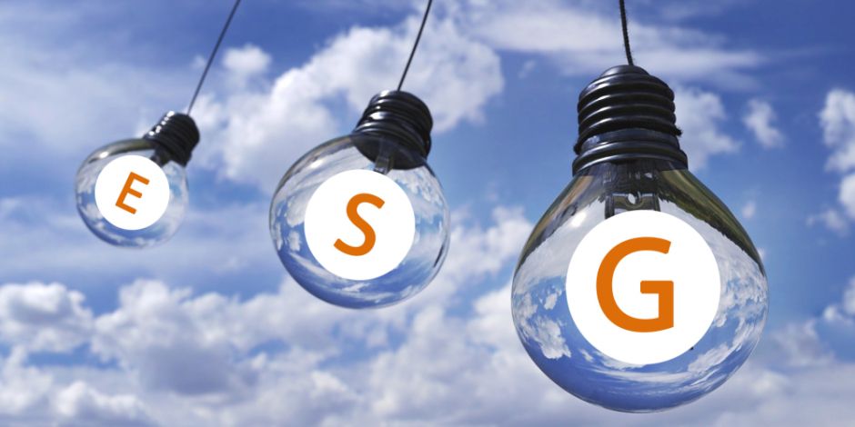 Nachhaltige Transparenz: Wie viele ESG-Kriterien gibt es?